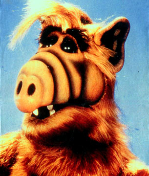 a.l.f - ALF, the us tv show character... / myLot