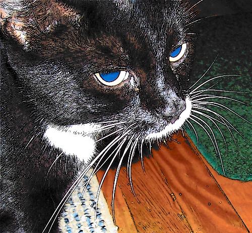 PIWACKIT got her name.... - A VERY old movie called BELL, BOOK and ...