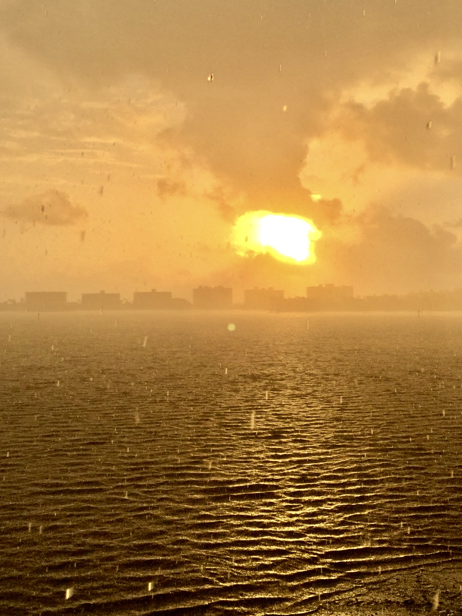 Daylight Sun