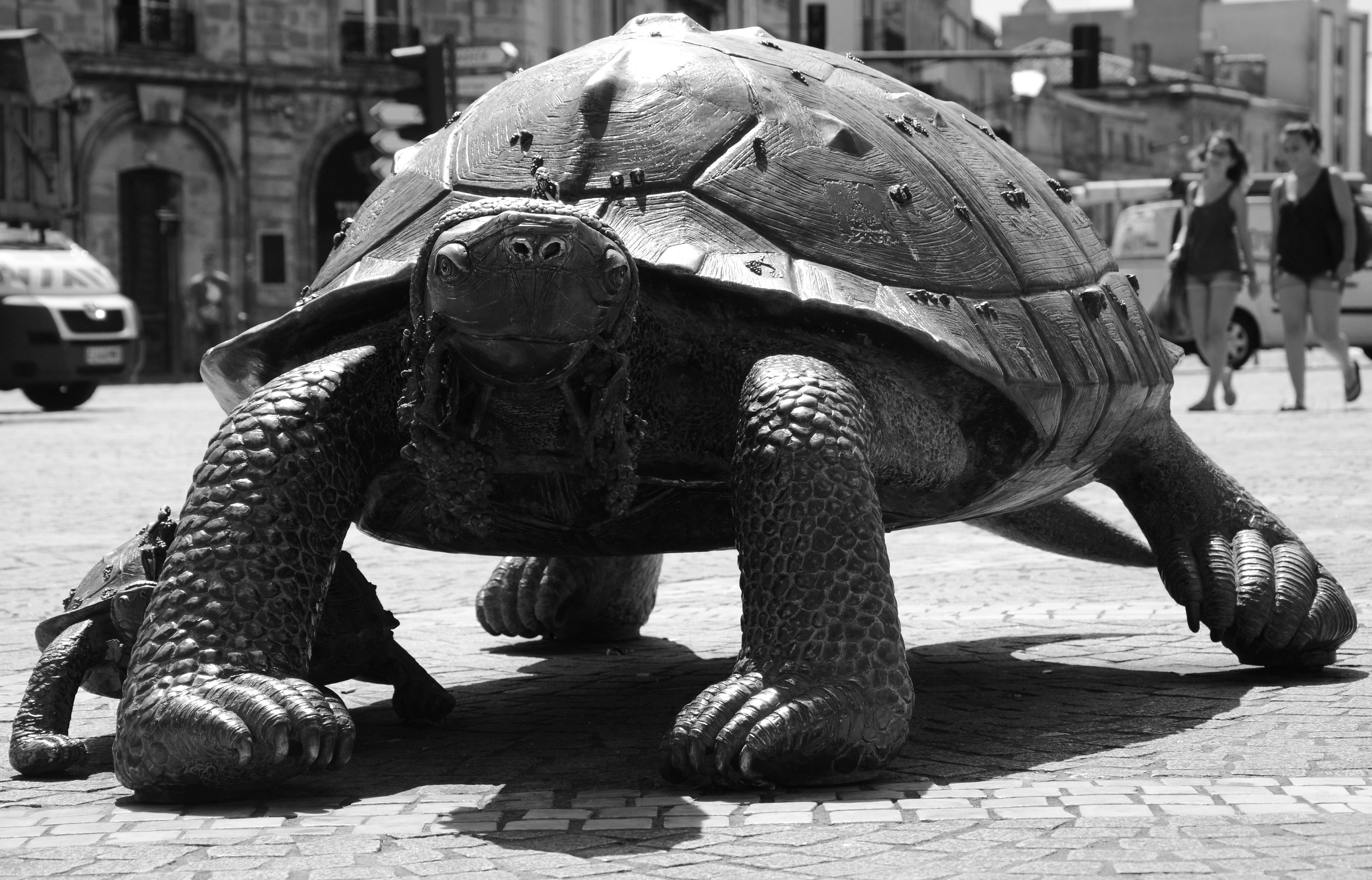 More about the Bordeaux turtle and why it is there / myLot