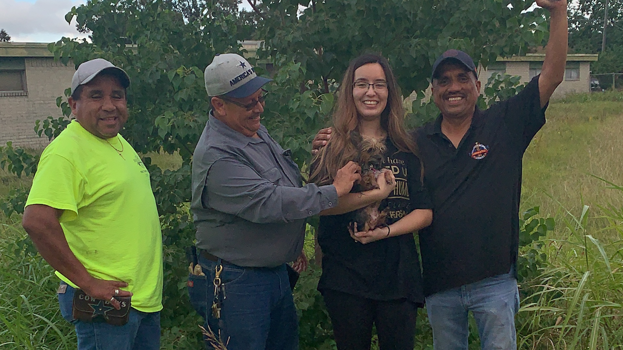 Deer Park city employees reunite a lost dog with her owner / myLot