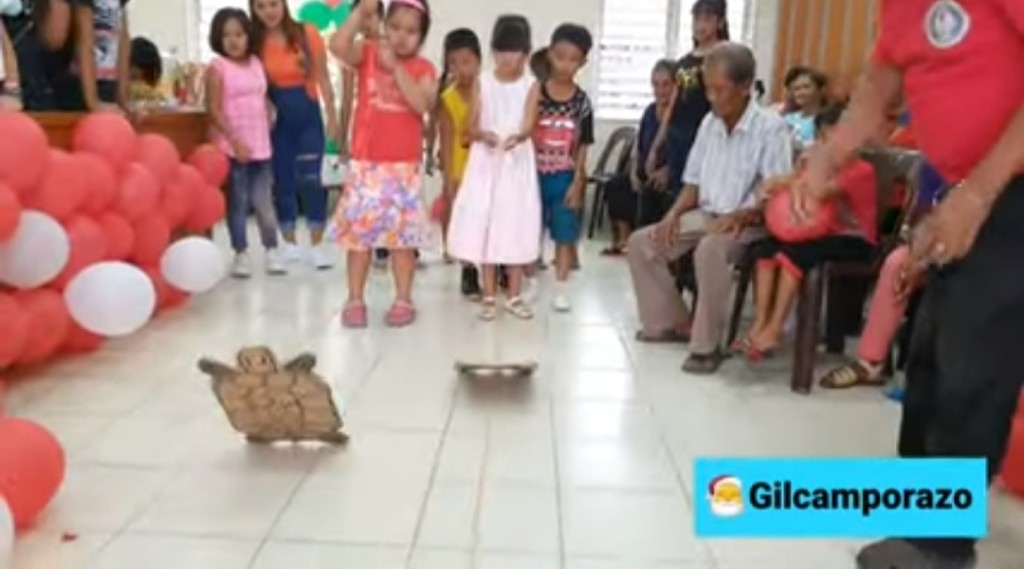 Kids Playing Turtle Race / myLot