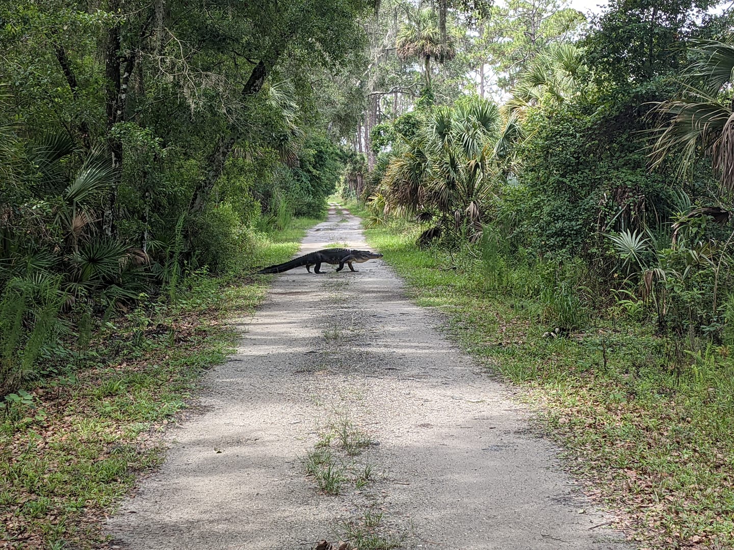 An All Too Familiar Encounter / myLot