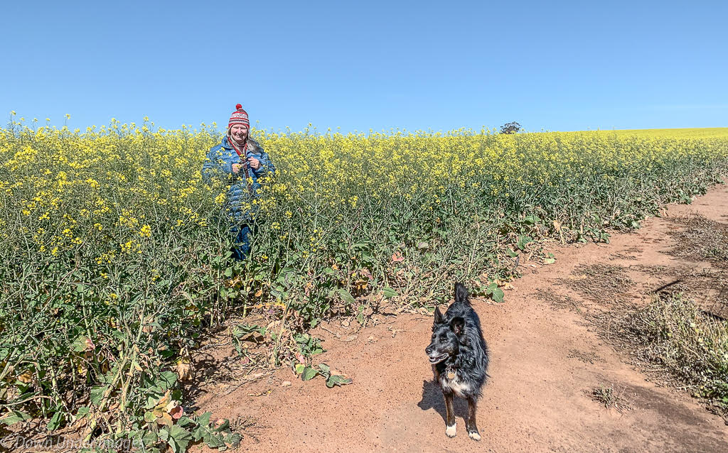 What's in a name? Well you might ask / myLot