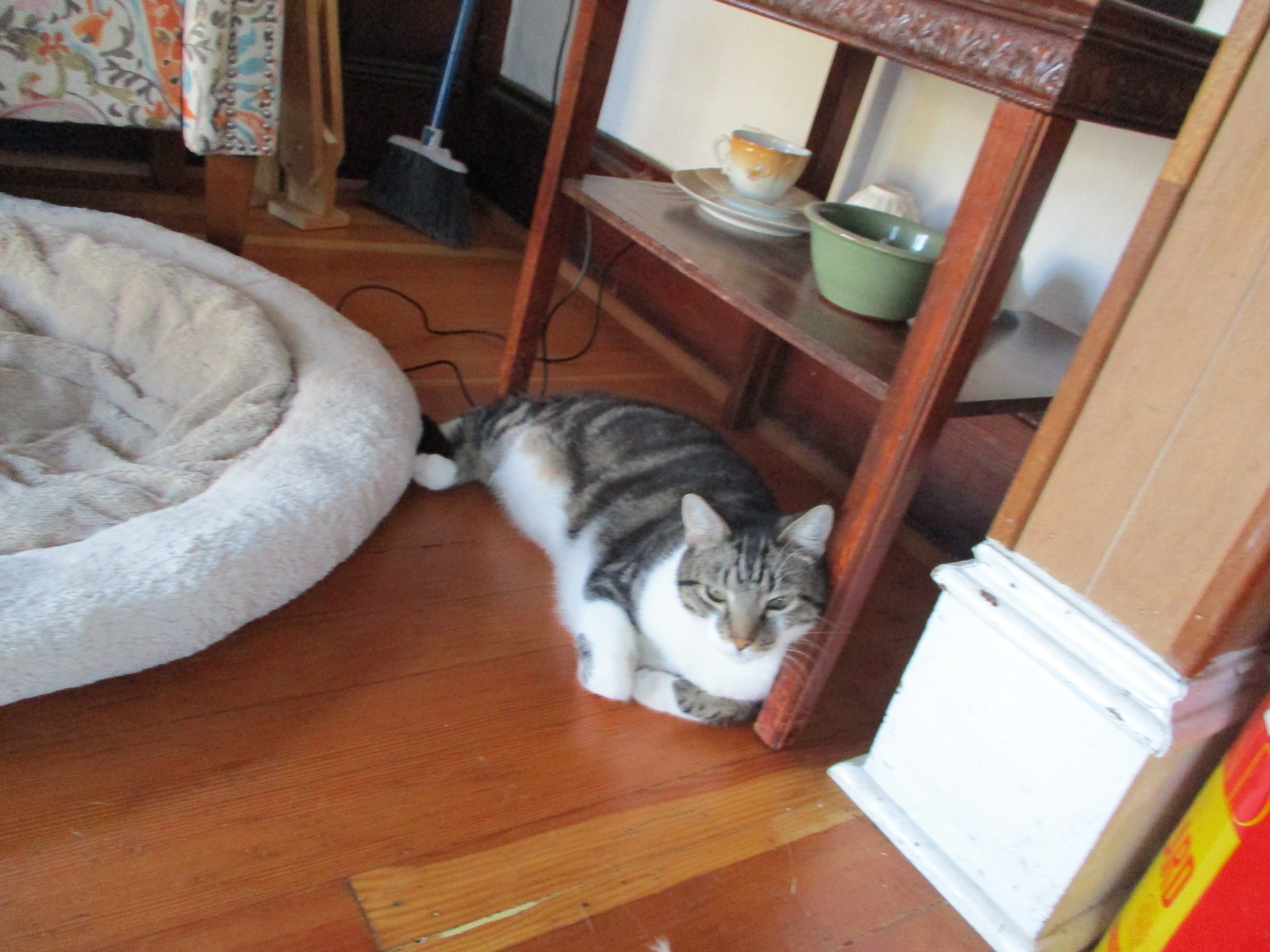 After shocks / myLot