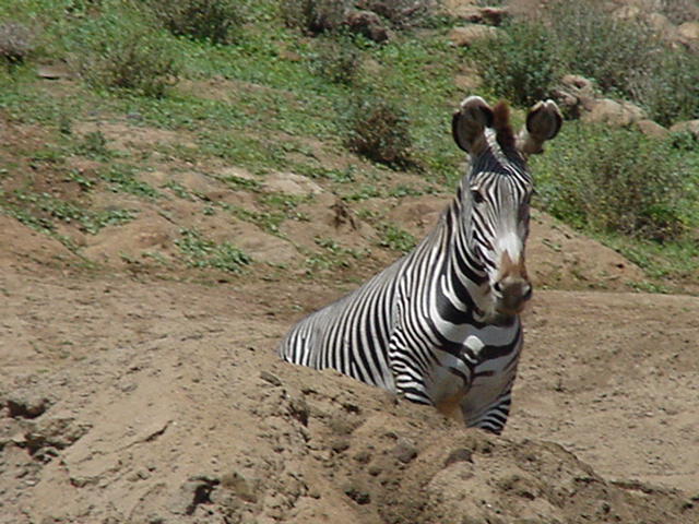 12/12/22 - Meals / myLot