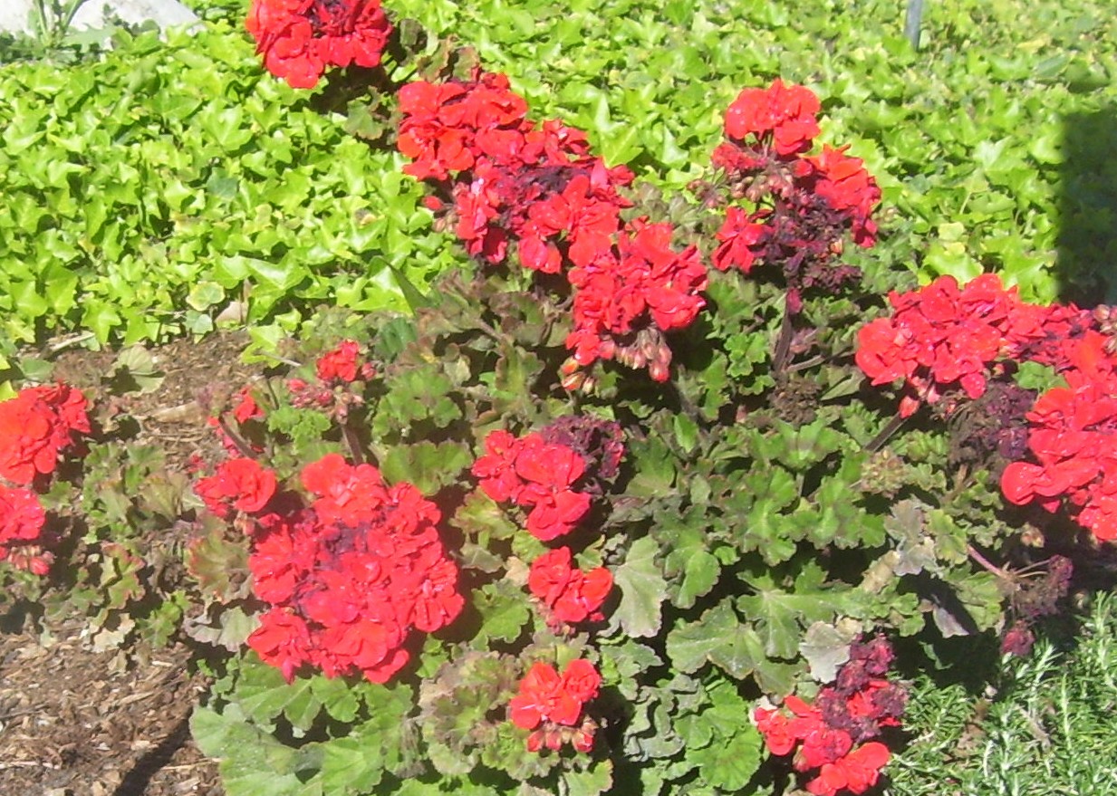 My feet are cold! Where did Spring go? / myLot