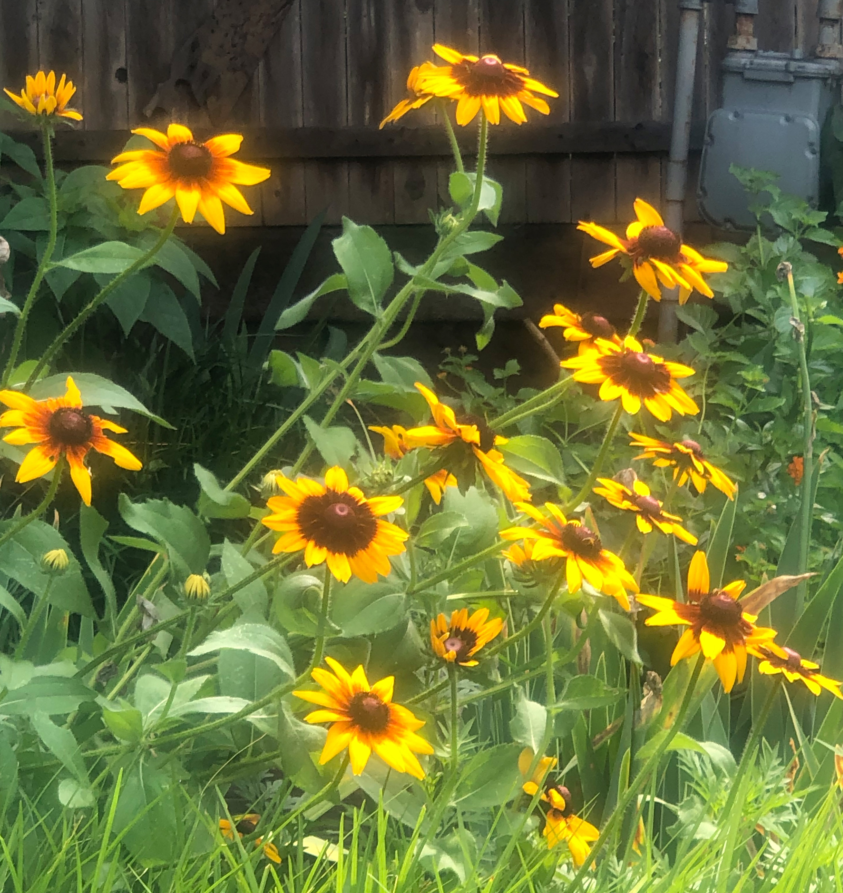 When you like the things you like, do you then get a lot by others? / myLot