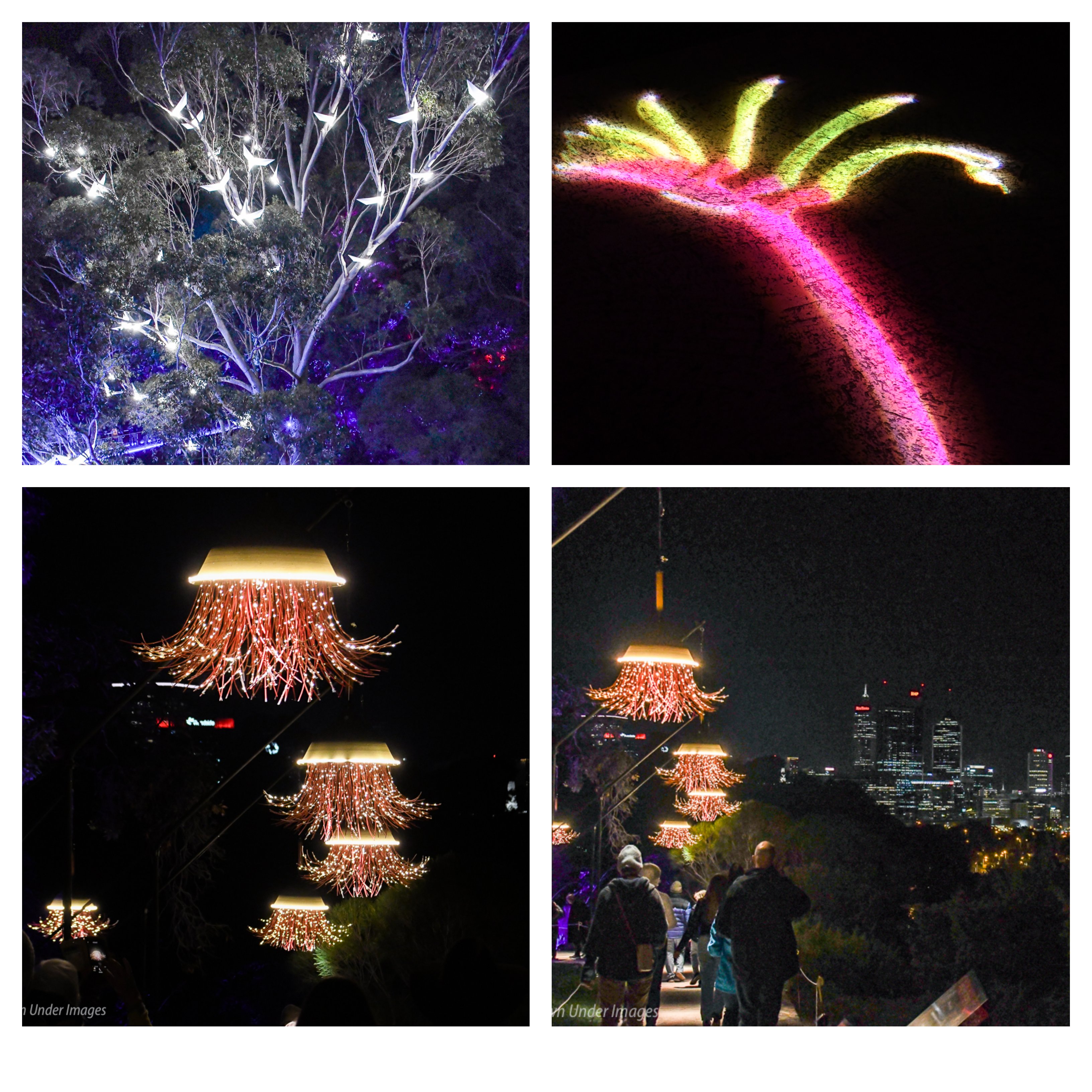 More Lightscape photos / myLot