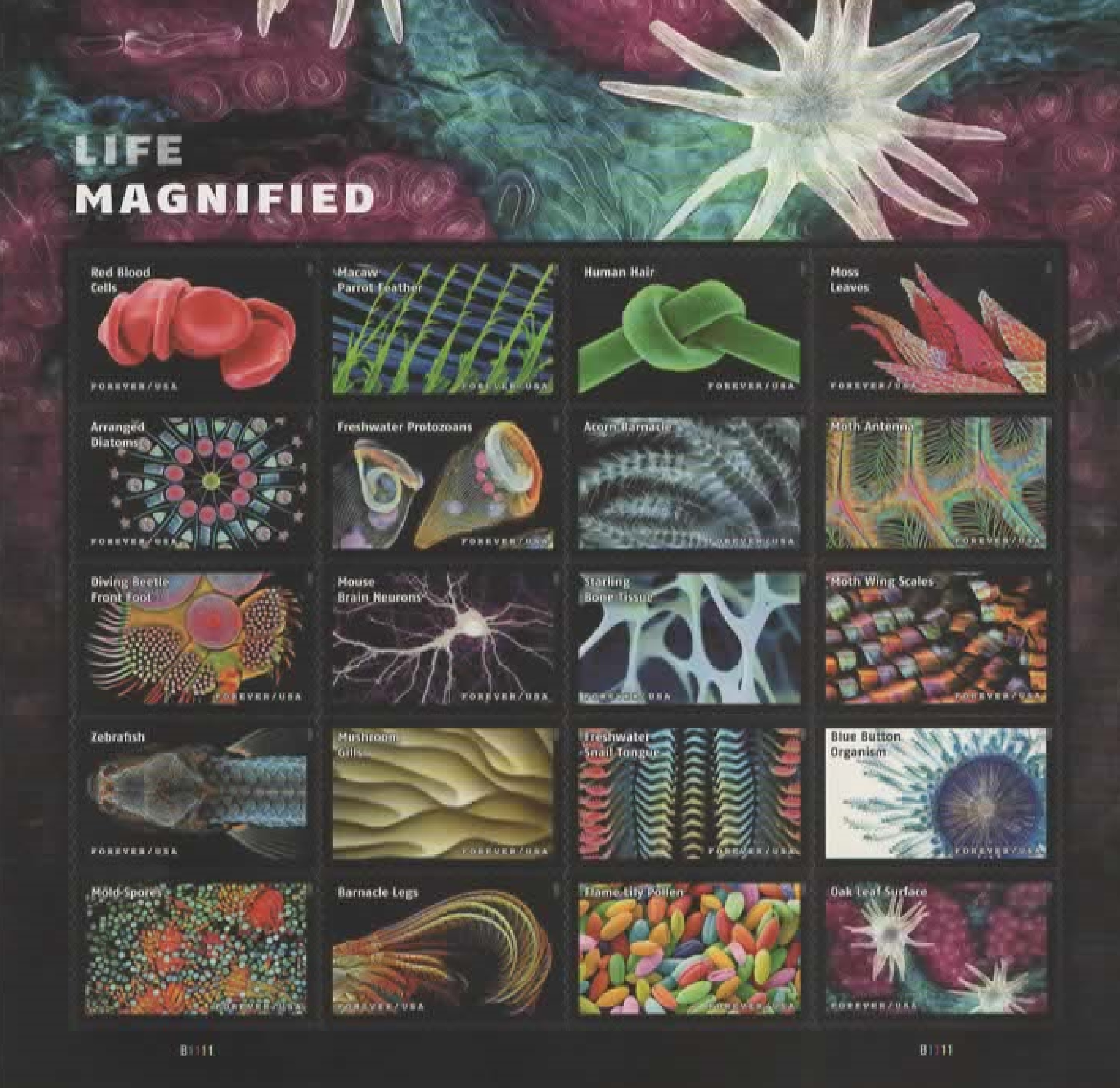 Hello yet again, myLot! / myLot