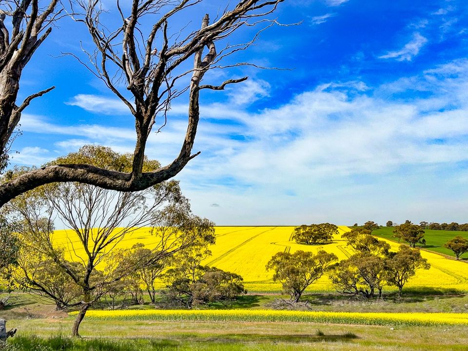 My routine for the day / myLot