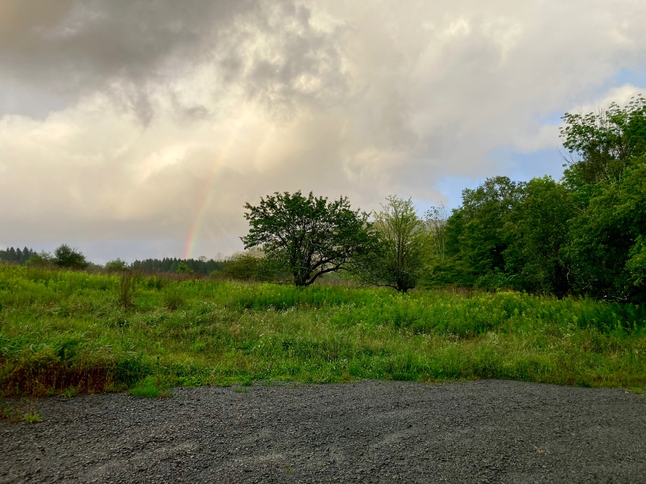 Making my way back here to myLot / myLot