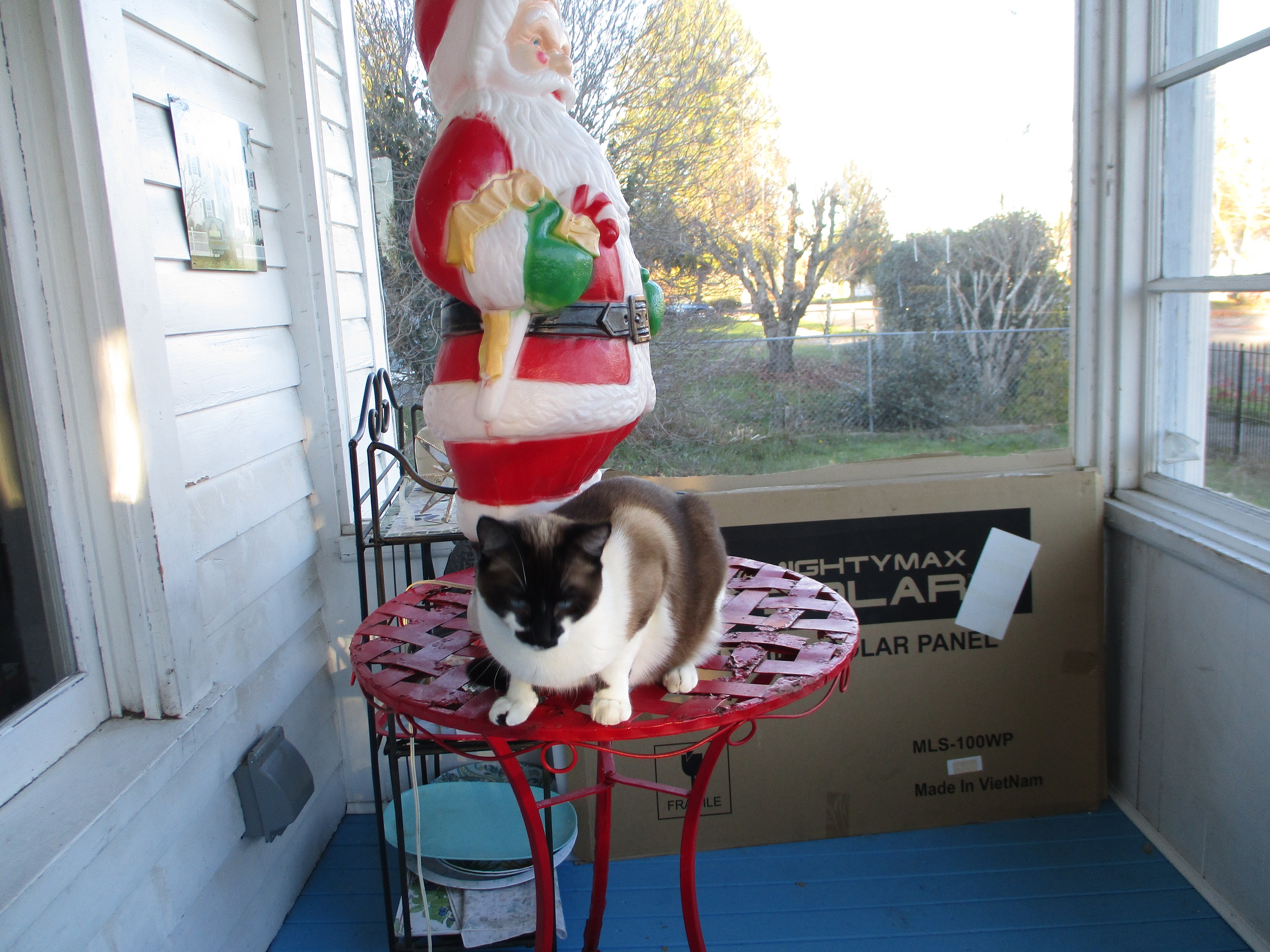 A seasonal photo / myLot