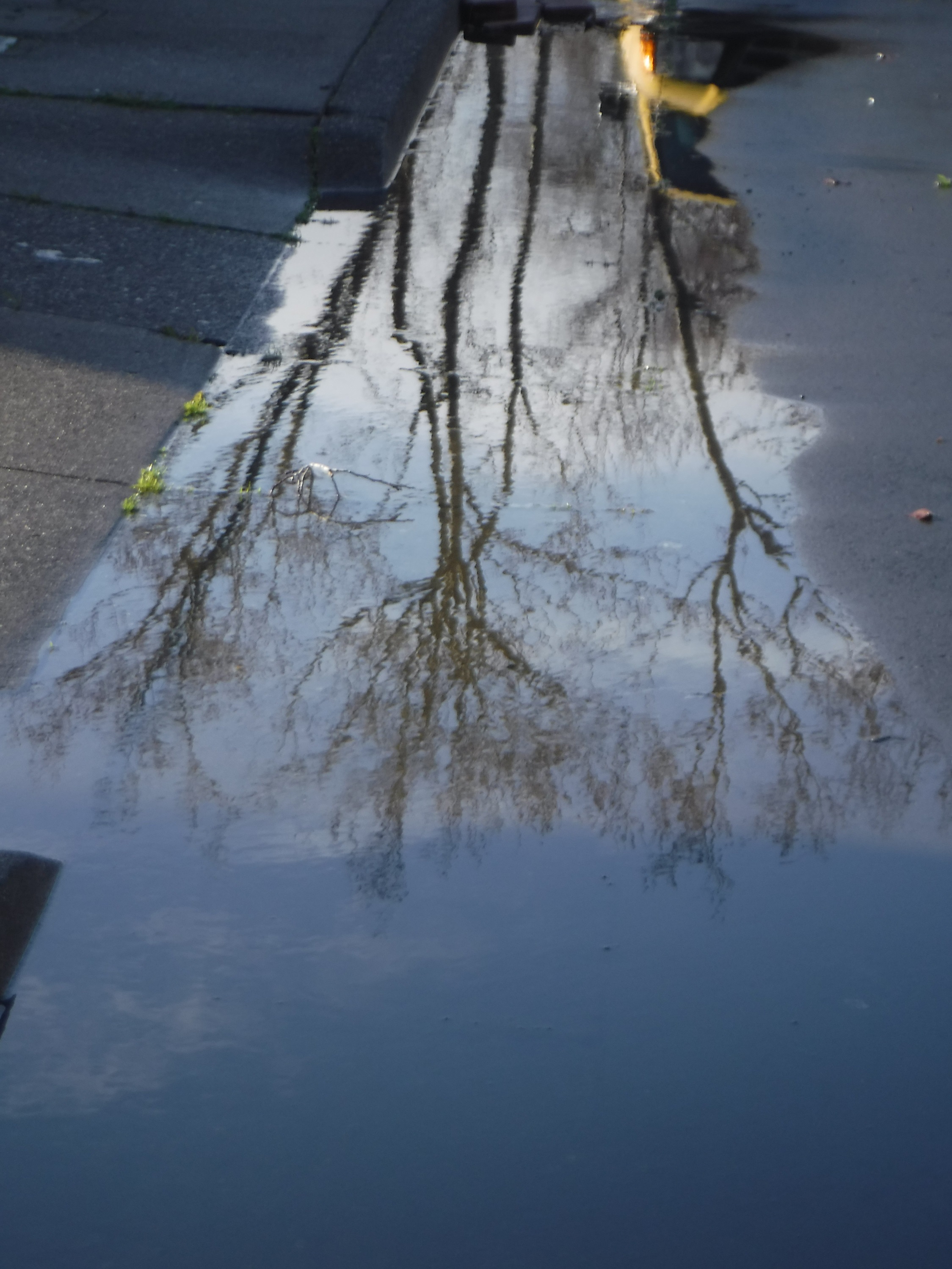 Hello again, myLot! / myLot