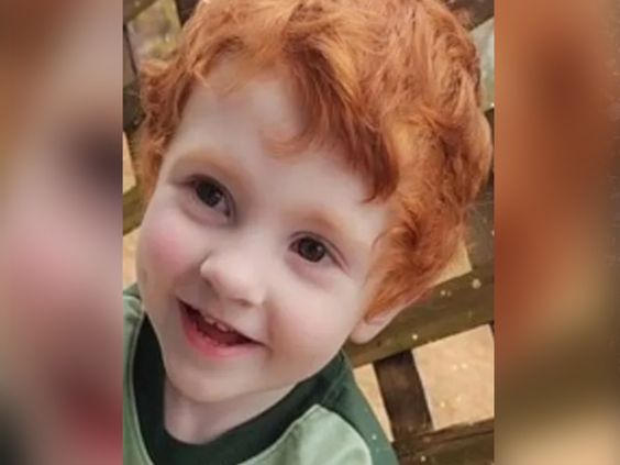 Stranger finds a missing boy that was lost in the woods in Alabama / myLot