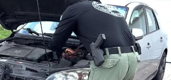 A Lee County Sheriff's Office Deputy removes a snake that was under a ...