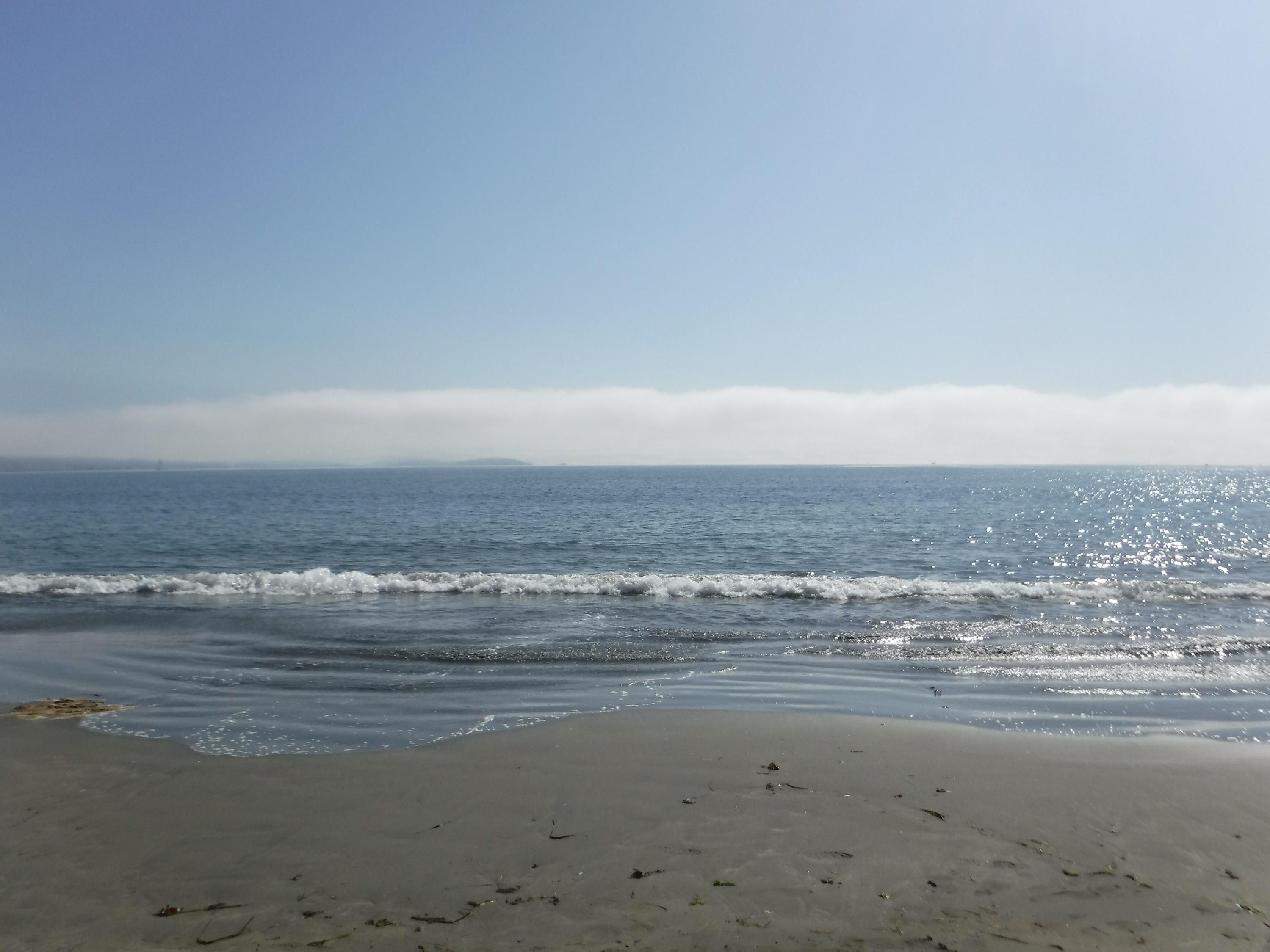 Hello again, myLot! / myLot