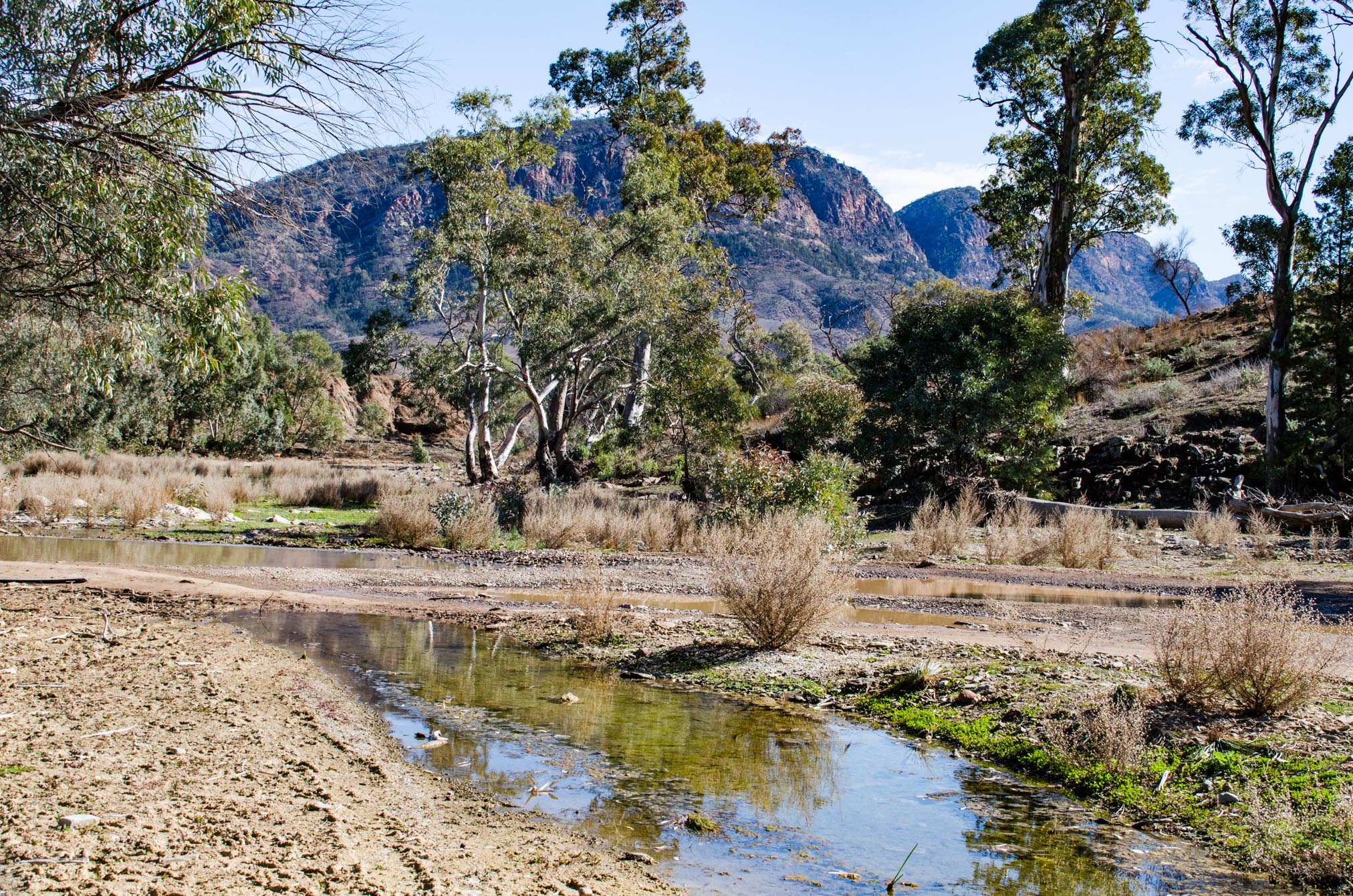 Choose your friends wisely / myLot