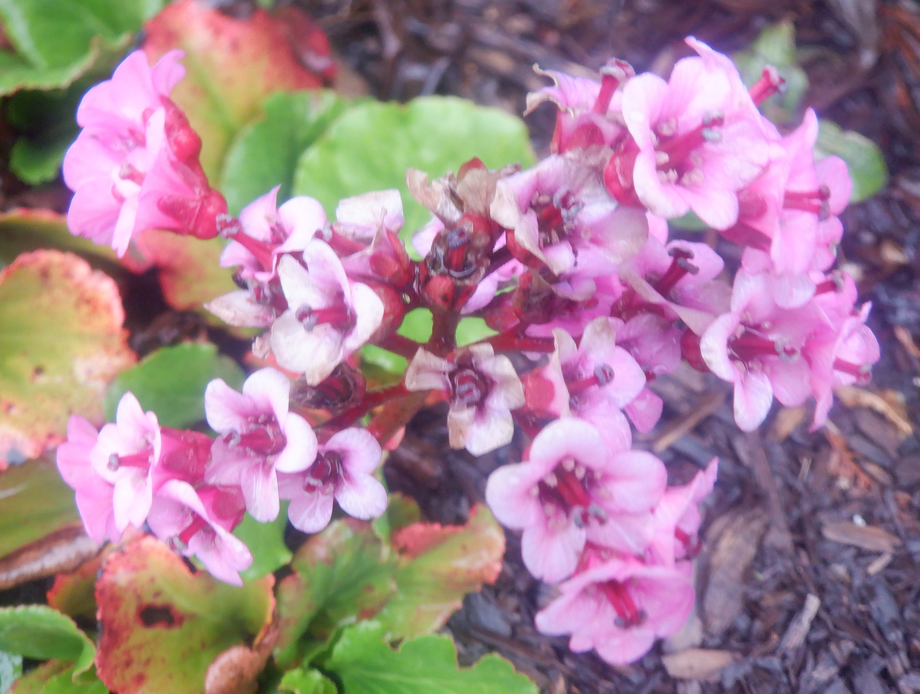 Good Tuesday morning, myLot ! / myLot