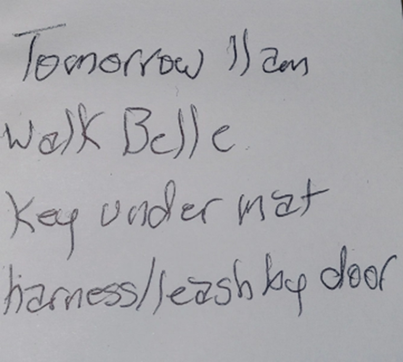 Good night, myLot! / myLot